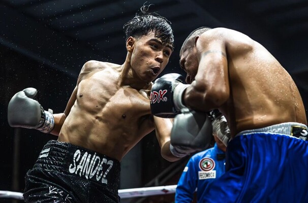 Alan Sández | Boxer Page | Tapology