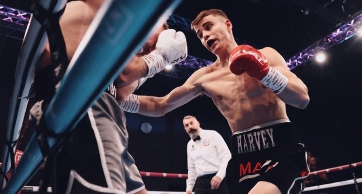 Harvey Smith ("King of Sting") | Boxer Page | Tapology