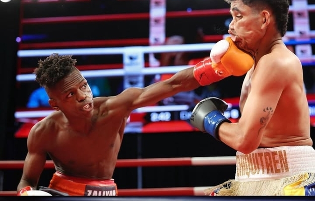 Terry Washington ("Terrible") | Boxer Page | Tapology