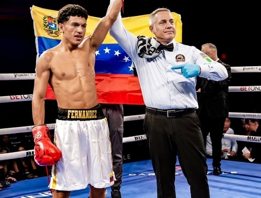 Jose Fernandez | Boxer Page | Tapology