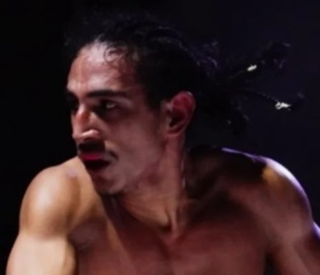 Robin Palma ("El Lobo") | MMA Fighter Page | Tapology