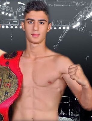 Amir Reza Mohammadi | MMA Fighter Page | Tapology