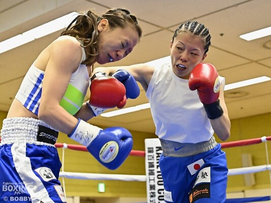 Yui Yamashita | Boxer Page | Tapology