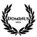 Dominus MMA 4: Solis | MMA Event | Tapology