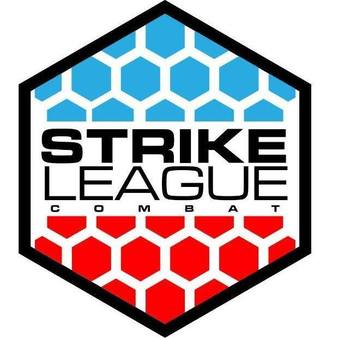 Strike Team Logo