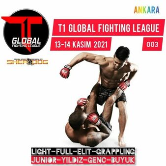T1 Global Fight League 3 | MMA Event | Tapology