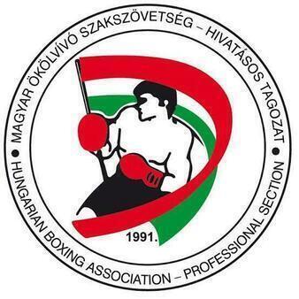 Tamás Polster vs. Vlatko Vojnic Tunic, Detre vs. Knezevic | Boxing Bout ...