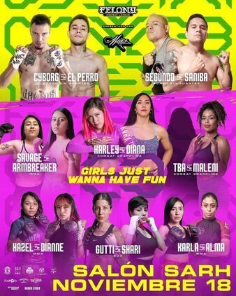 Elizabeth Fríos vs. Ahtziri Yareli Rendón, Felony Combat League 3 | MMA ...