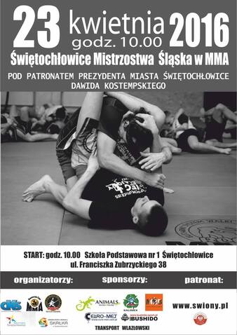 Daniel Malinowski vs. Mariusz Figura, ALMMA108 | MMA Bout | Tapology