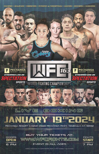 Mike Hansen vs. Ulysses Navarro, WFC 163 | Boxing Bout | Tapology