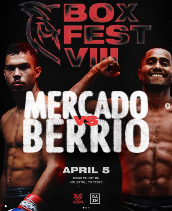 Boxfest 8 | Boxing Event | Tapology