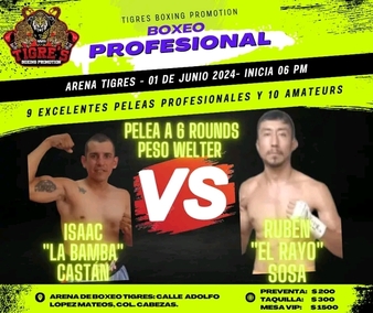 Jairo Pineda Castro vs. Victor Manuel Najar, Boxeo Profesional | Boxing ...