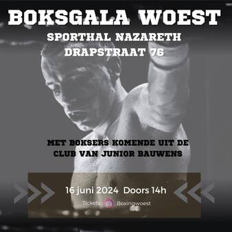 Atash Dinizada vs. Bogdan Stoilov, Boksgala Woest | Boxing Bout | Tapology