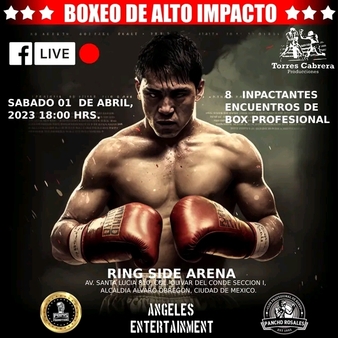 Boxeo de Alto Impacto | Boxing Event | Tapology