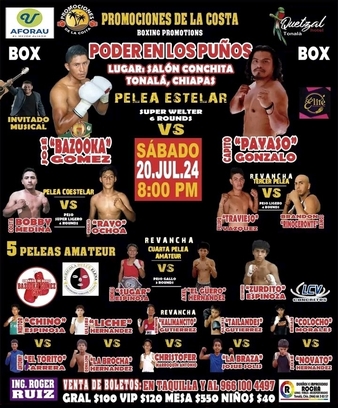 Carlos Medina vs. Virgilio Ochoa, Poder en Los Puños | Boxing Bout ...