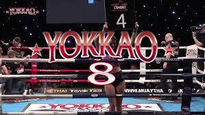 Liam Harrison vs. Damien Alamos, YOKKAO 8 | Muay Thai Bout | Tapology