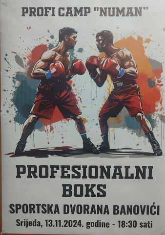 Mihajlo Milakovic vs. Sahin Forcakovic, Profesionalni Boks | Boxing ...