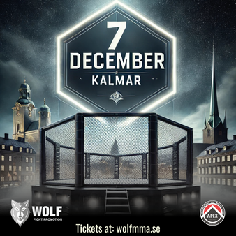 Mohamad Al Haffar vs. Elias Karlsson, WFP 12 | MMA Bout | Tapology