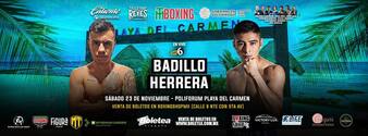 Badillo vs Herrera | Boxing Event | Tapology