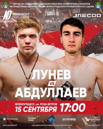 Dmitry Krylov vs. Ilya Kosachev, KnockOut Fight League | MMA Bout ...