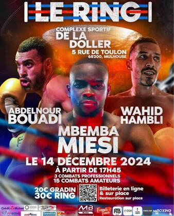 Abdelnour Bouadi vs. Giorgi Nanava, Le Ring | Boxing Bout | Tapology