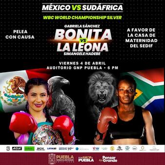 Gabriela Sanchez vs. Simangele Hadebe, Bonita vs La Leona | Boxing Bout ...
