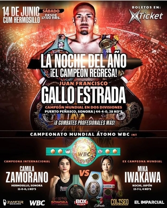 Camila Zamorano vs. Mika Iwakawa, La noche del Ano | Boxing Bout | Tapology
