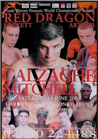 Enzo Maccarinelli vs. Bruce Scott, Calzaghe vs. Mitchell | Boxing Bout ...