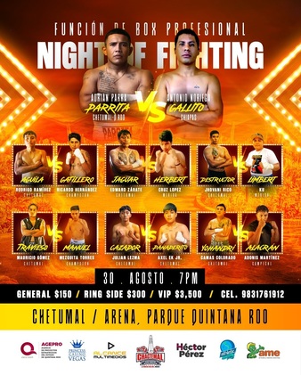 Fernando Mauricio Gomez vs. Manuel Torres, Night of Fighting | Boxing ...