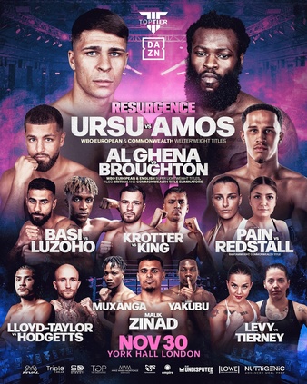 Stevi Levy vs. Antonella Shirley Molina, Ursu vs. Amos | Boxing Bout ...