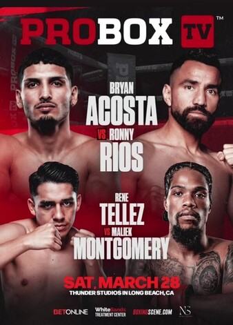 Pro Box Promotions PBP | Boxing Promoter | Tapology