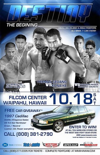 Destiny MMA: The Beginning | MMA Event | Tapology