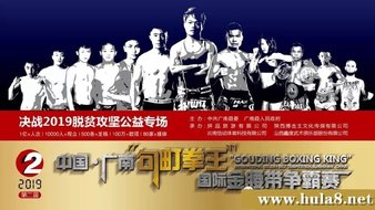 Fight King Gold Belt Contest: Juding Fight King 2 | MMA & Kickboxing ...