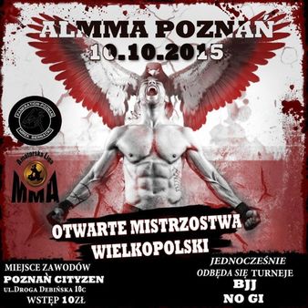 Jakub Piński vs. Damian Surmaj, ALMMA 91 | MMA Bout | Tapology