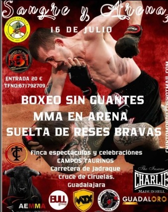 Dioni Muniz vs. Guilherme Cadena, Sangre y Arena 3 | Boxing (Bare ...