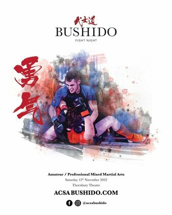 Dariean Menchini vs. Mayson Nobetsu, Bushido Fight Night 4 | MMA Bout ...