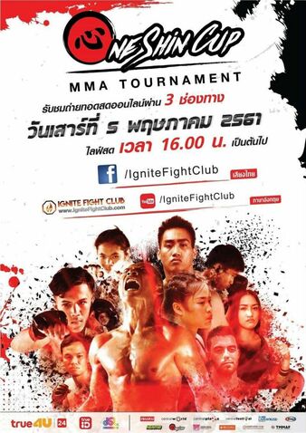 Stamp Fairtex vs. Surarak Kamla, OneShin Cup MMA Tournament | MMA Bout ...