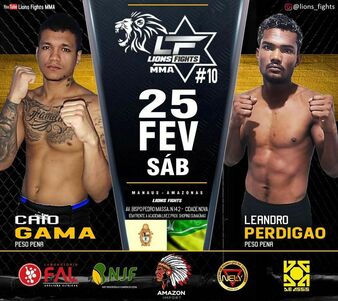 Lions Fights MMA 10 | MMA Event | Tapology